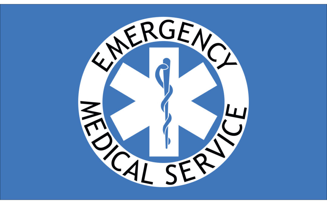 ems-flag-3×5-070287 | Industrial Safety, Inc.